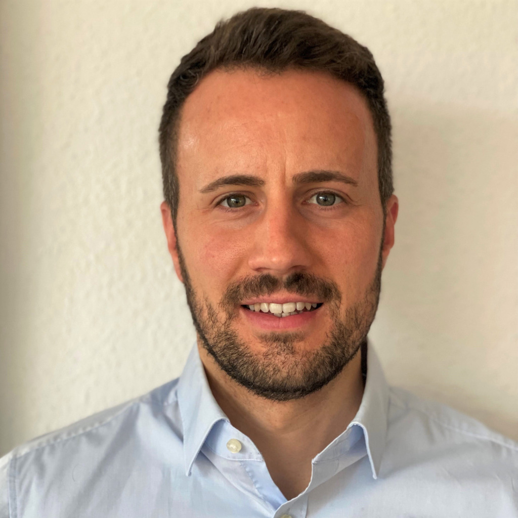 Daniel Fritz - Global Business Process Owner (GBPO) Travel & Expense ...