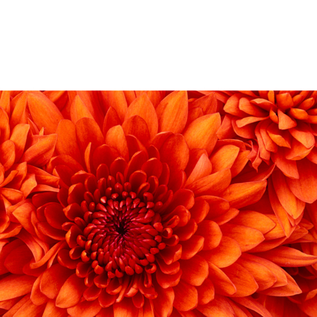 Ihab Mansour - Software-Entwickler - cbb software GmbH | XING