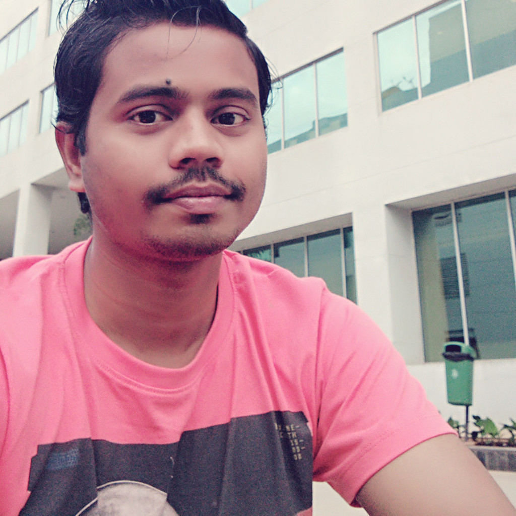 Nitin Sasane - Software Developer - Gridaxis Softwares | XING