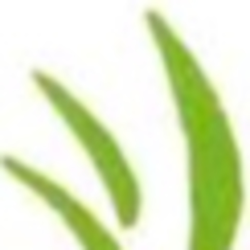 Bernd Brand - Geschäftsführer - Ems-Garten | XING