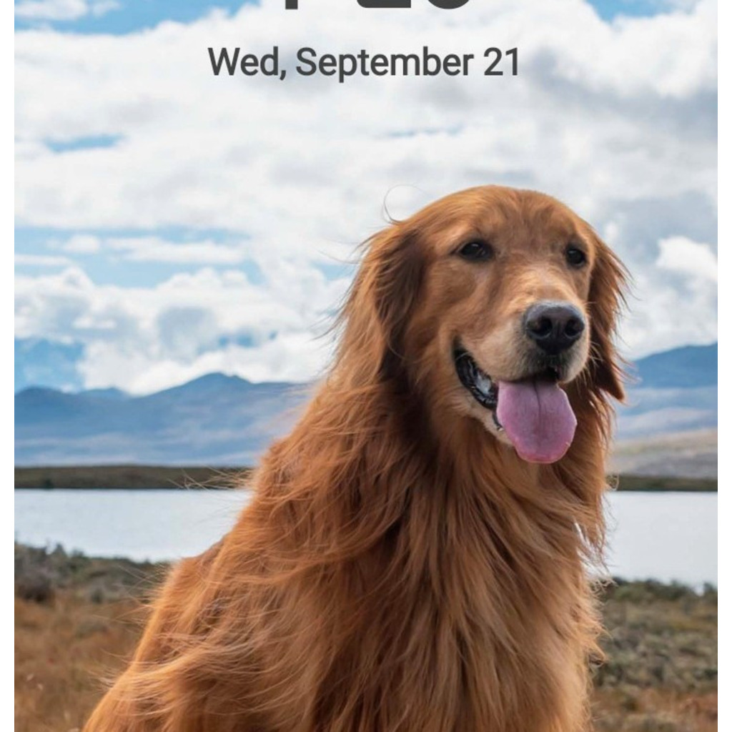 Joe Mazzella Jr - Supervisor - I am retired | XING