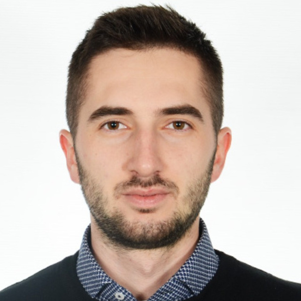 Ditjon Berisha - Software Developer - Elenios Deutschland GmbH | XING