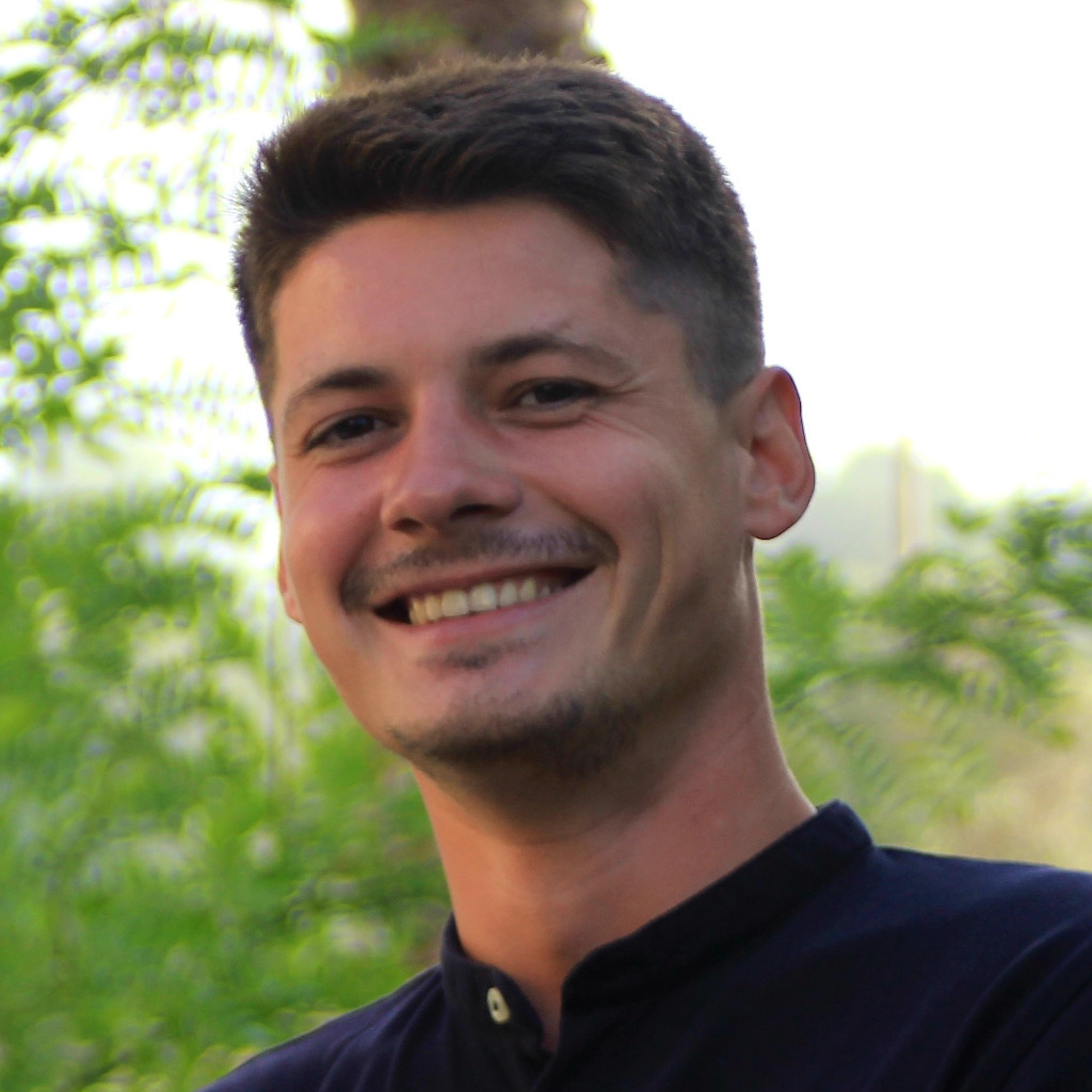 Denis Botnaru - Software Developer - Atos | XING