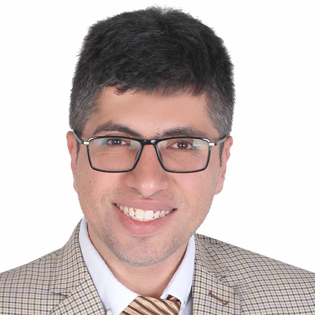 Mojtaba Dastouri - Software Developer - TELC | XING