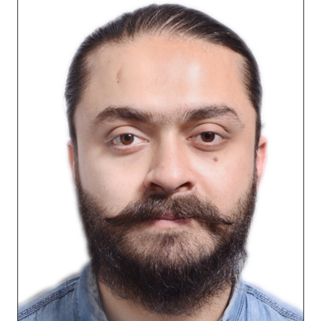 Hafiz Syed Ihsan Ali - Electrical and Microsystem Engineering - Ostbayerische Technische ...