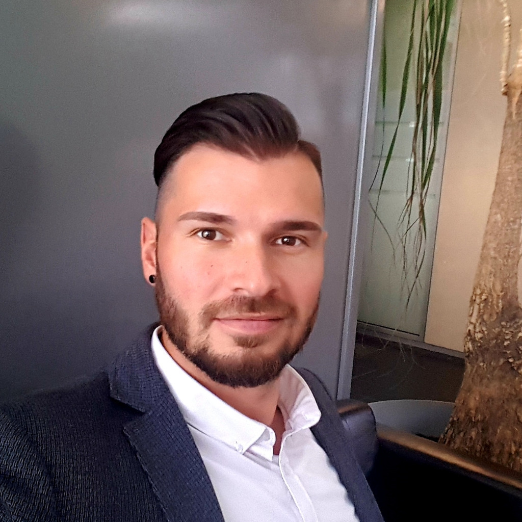 Daniel Friedrich - IT System Facilitator / IT-Projektleiter ...