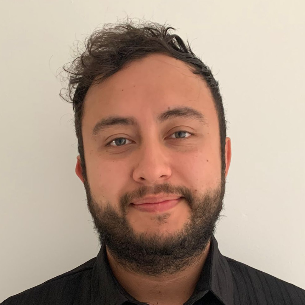 Nicolas Rodriguez Contreras - Tecnico - Dolphin Pools | XING