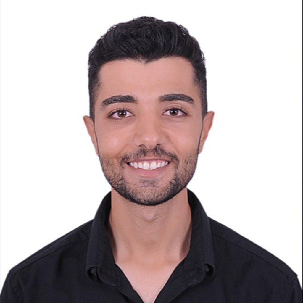 Kirollos Abdelmalak - Infrastructure Civil Engineer - National ...