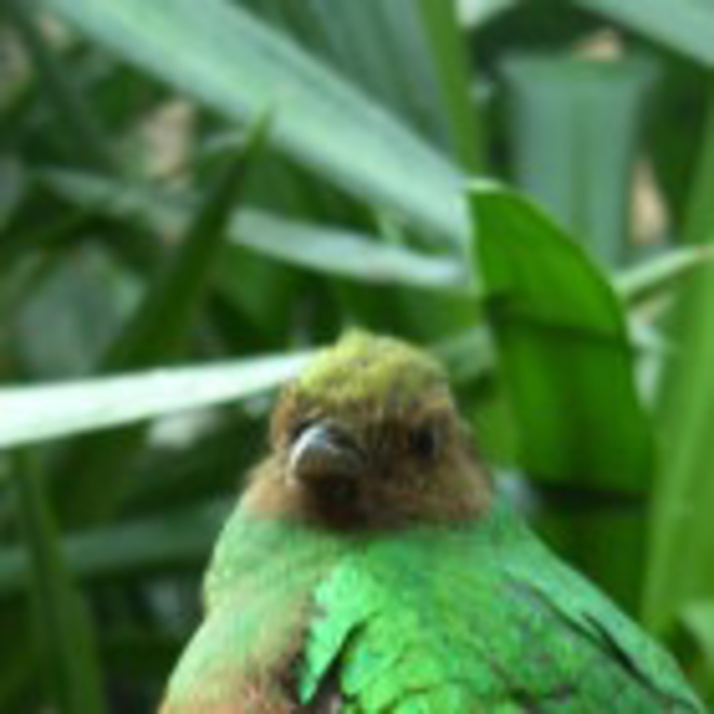 David Rombach - Führend - Rombach | XING