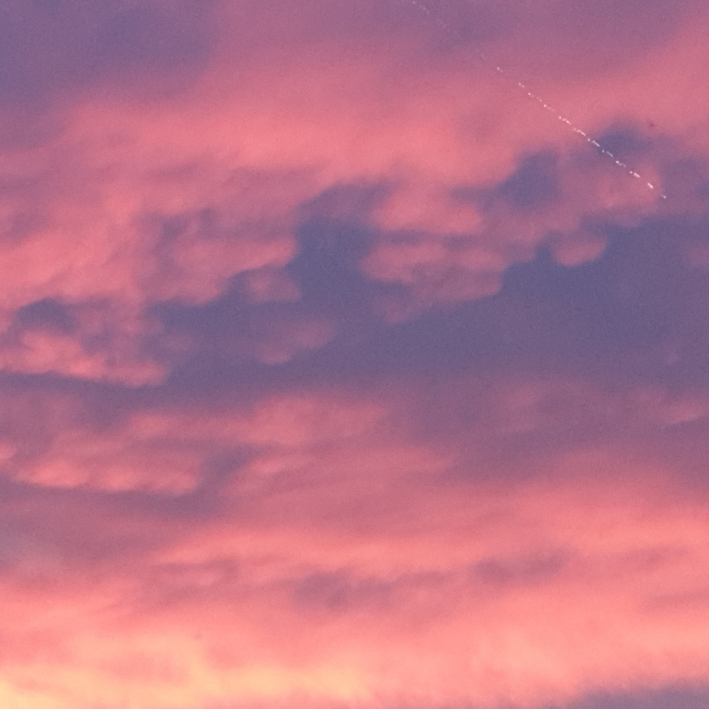 Georgia Löscher - Bilanzbuchhalterin/Steuerfachang/Lohnbuchhalterin - Forvis Mazars in Germany ...