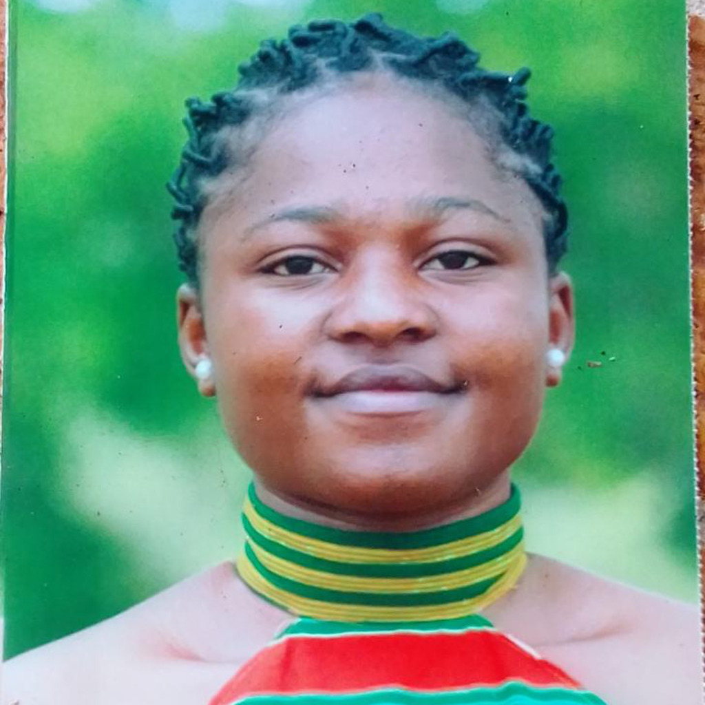 Ing. atemnkeng hazel lewis awung: Ausbildung und Berufserfahrung | XING