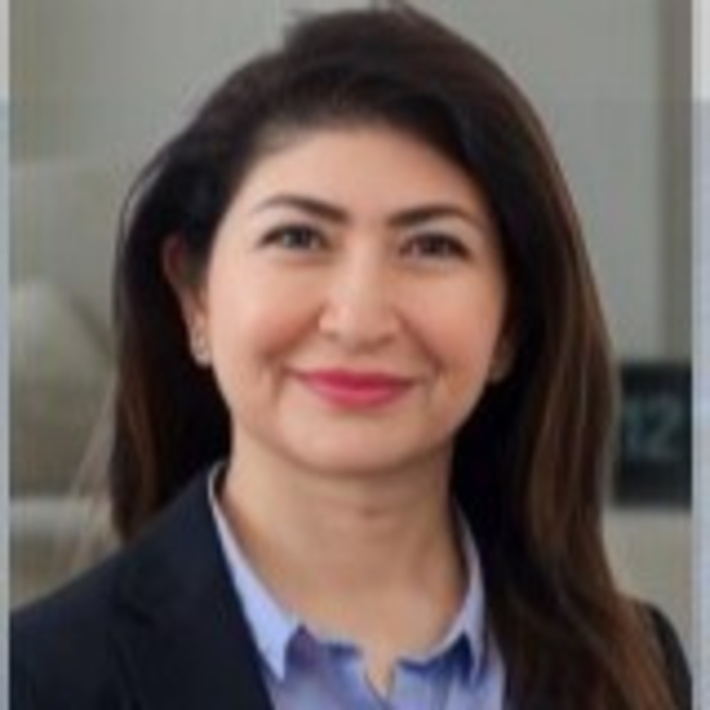 Sepideh Rafati - Support Engineer - offen für eine neue Herausforderung ...