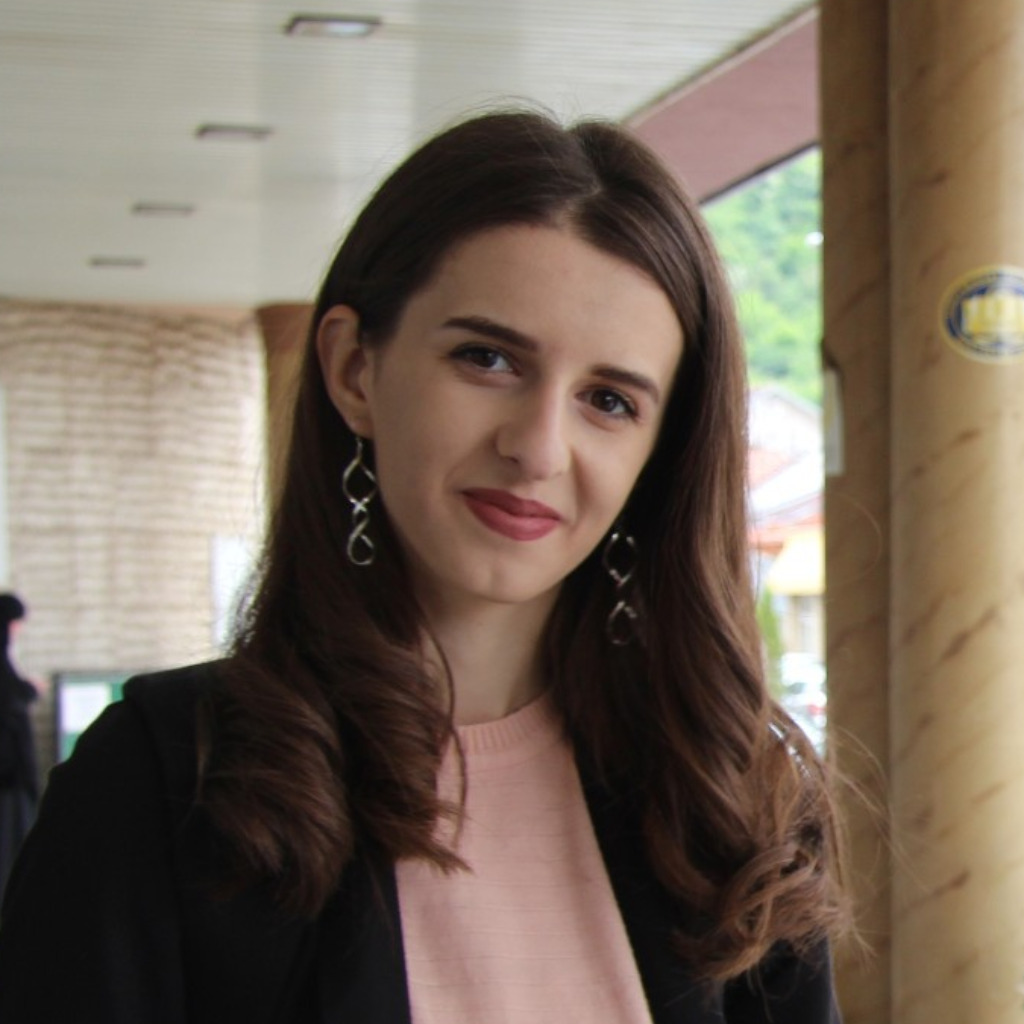 Asija Ramovic - Software Developer - InnetiQs GmbH | XING