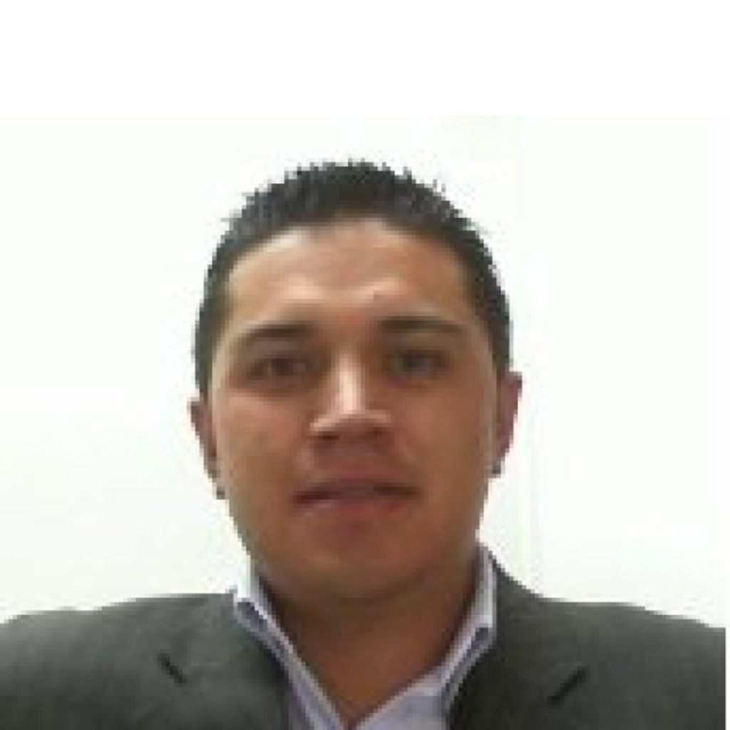 Prof. Israel Guzmán - Wintel Administrator - Hewlett Packard | XING