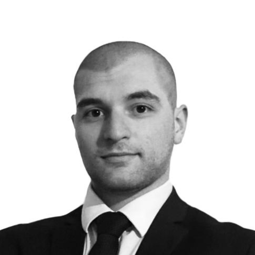 Endrit Polloshka - Consultant - EY Ernst & Young GmbH ...