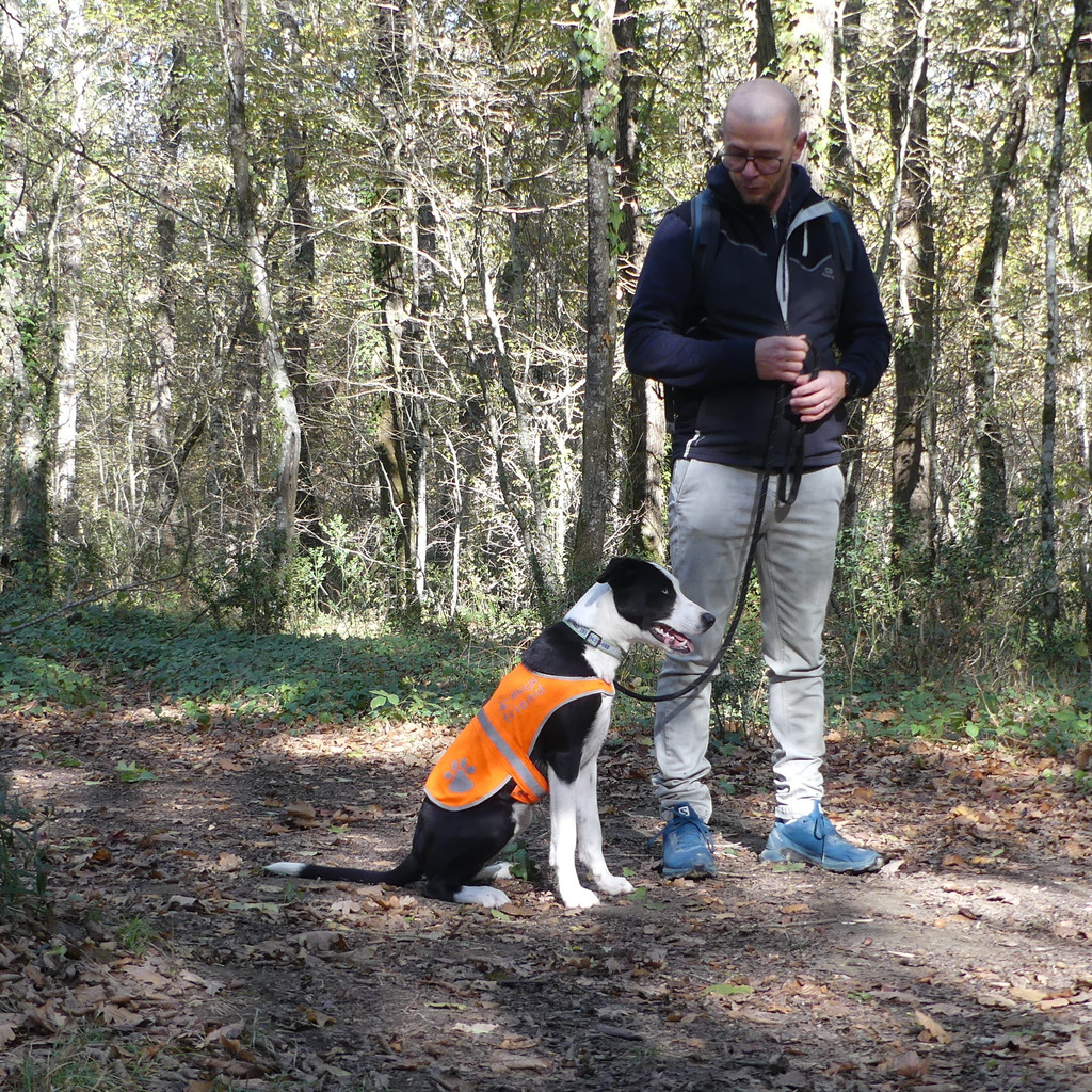 Cyrille RICHARD - Educateur Comportementaliste Canin - EXPERT CANIN | XING