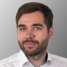 Florian Götz - Senior Java Software Engineer - Cognizant Mobility GmbH | XING