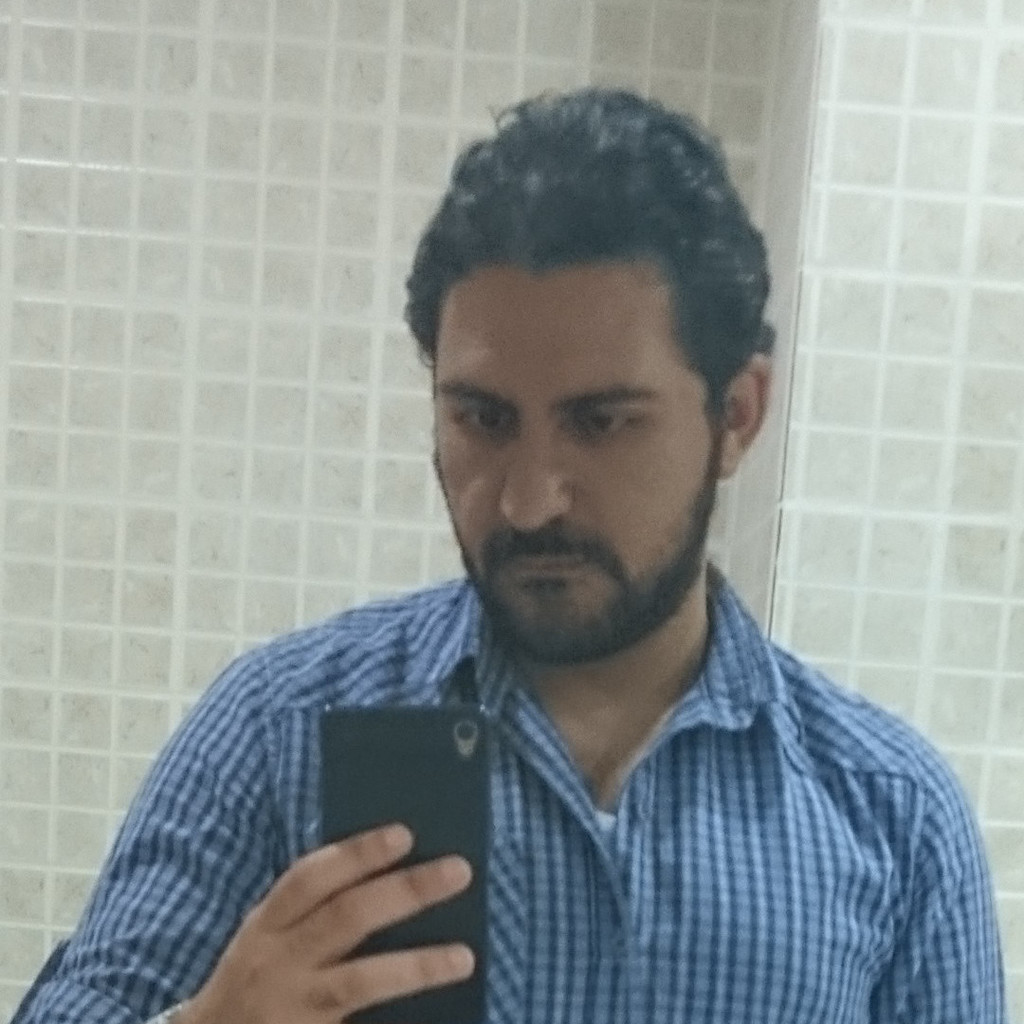 Mohamed Hammad - Senior Python Developer - SLNEE | XING