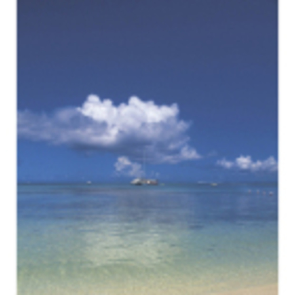 Lisa Tomasi - Realtor,Investor - ReMax Results Realty | XING