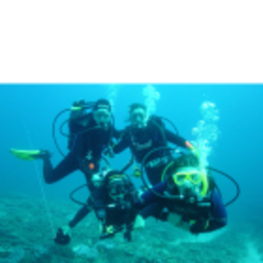 Justin Villiers - Padi Scuba Diving Instructor - Scuba Diving SA | XING