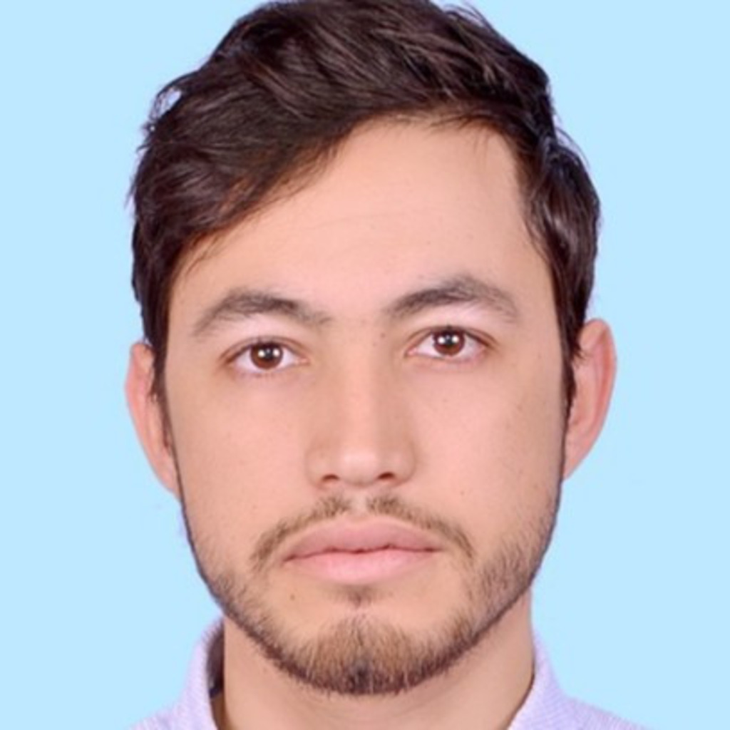 Mohamed El Ouastani - Développeur Web Full-stack Java/Angular - Carrefour | XING