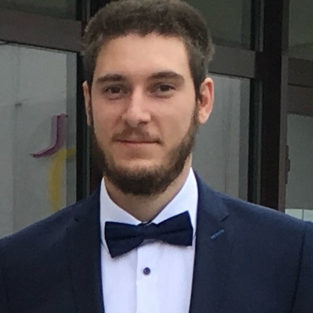 Hans Herzog - Embedded Systems Engineer - Systemtechnik LEBER GmbH & Co ...