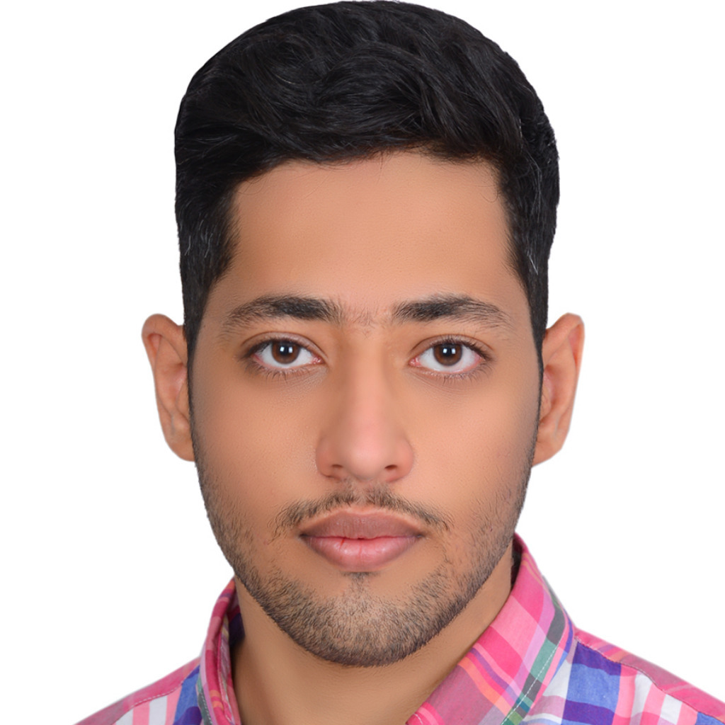 Sayed Ali Mousavi - Junior Software Engineer - Practicing in home | XING