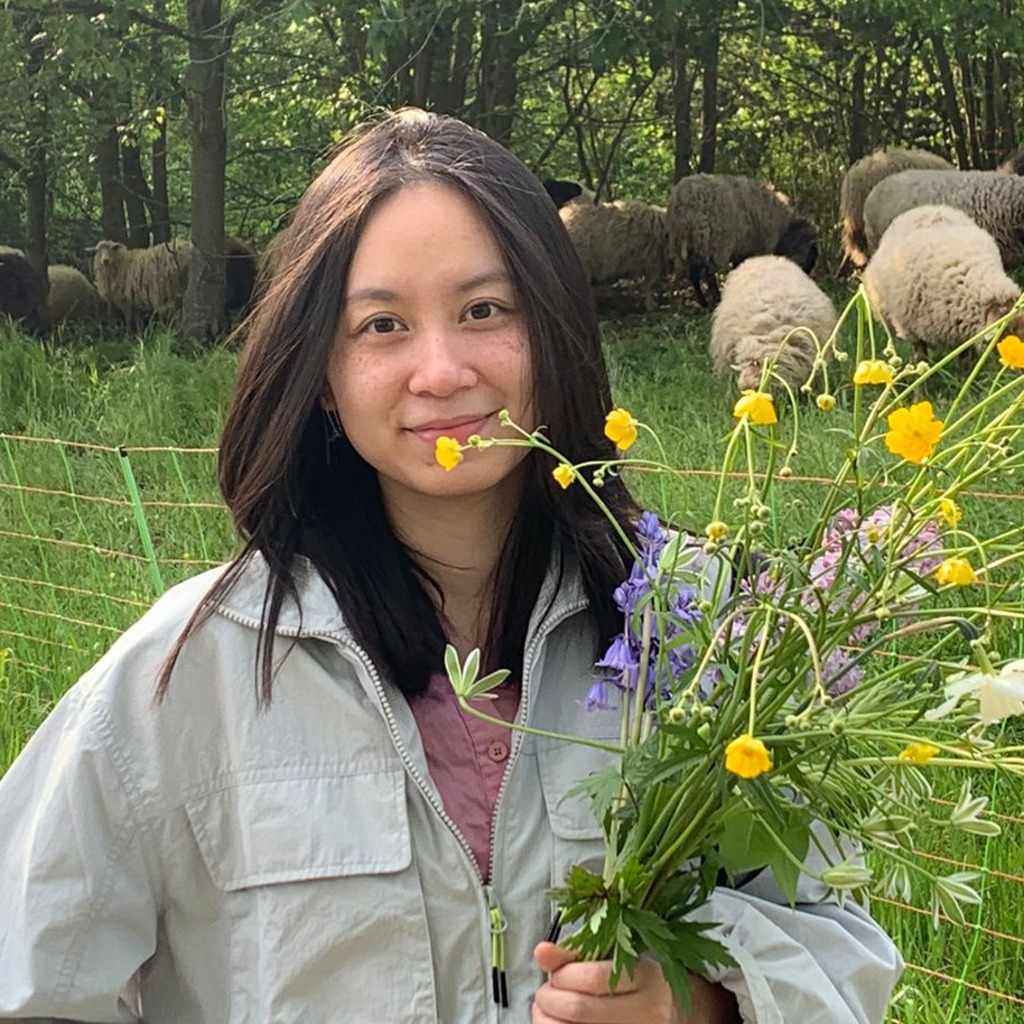 Thao Nguyen - Environmental & Sustainability Specialist - TE ...