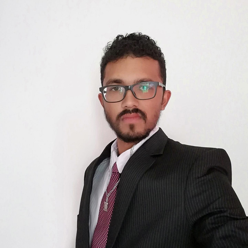 Hans Sunasee - System Analyst - HV Lifestyle Ltd | XING