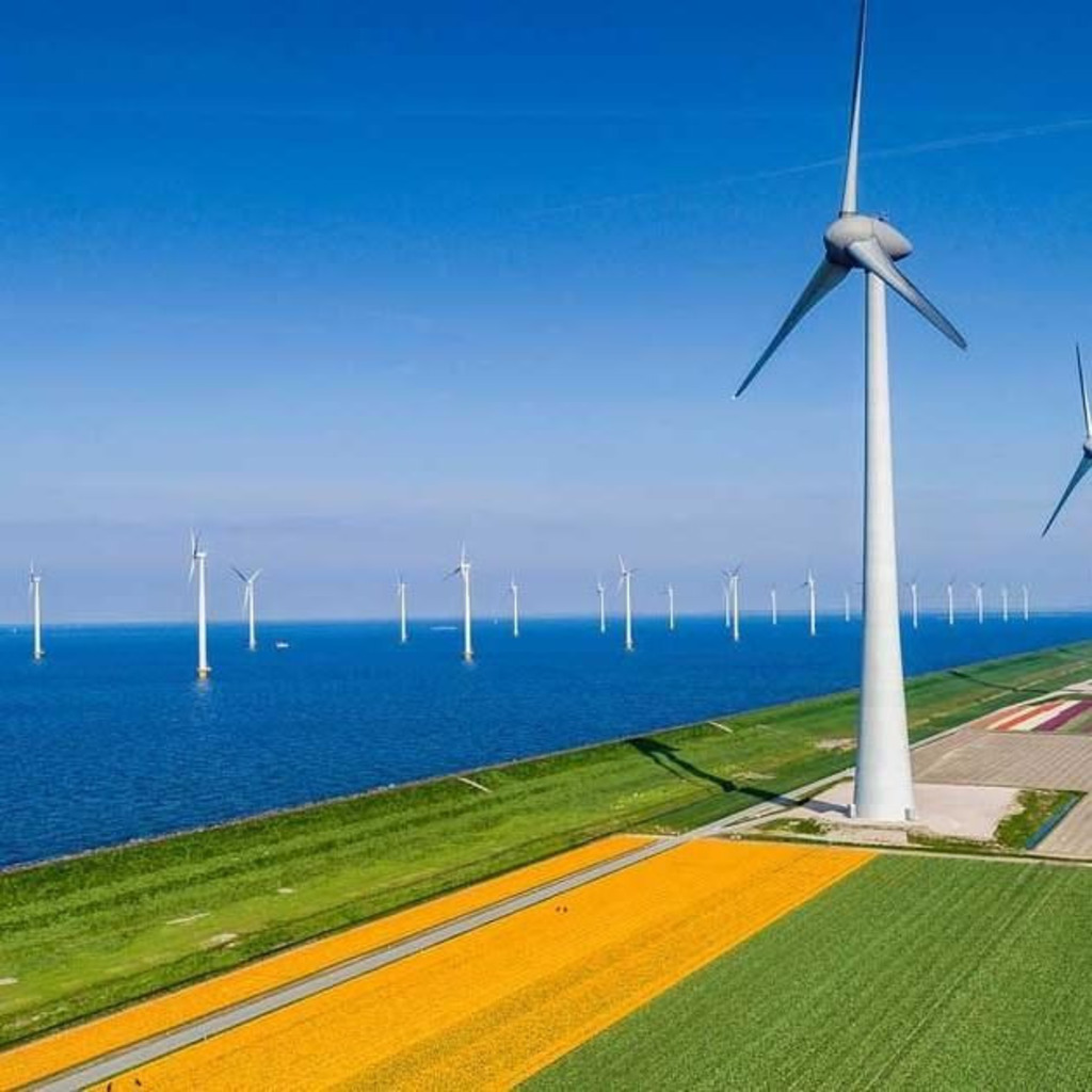 Max Li-Mayer - Founder - Mayer & Co. | XING