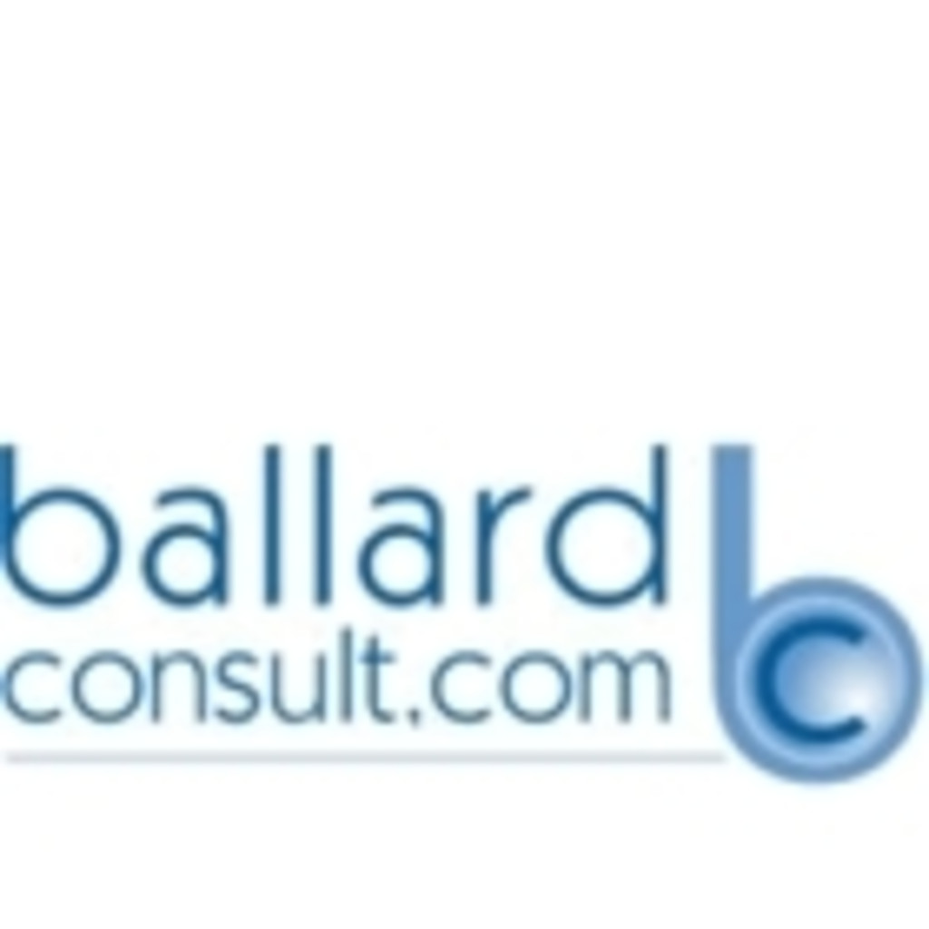 David Ballard - C.E.O. - Ballard Business Consultants | XING