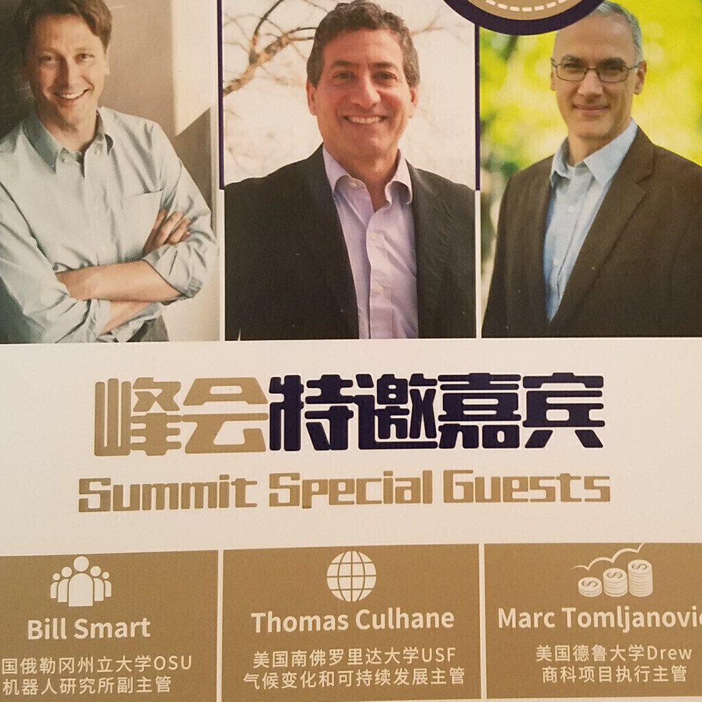 Dr. Thomas Culhane - Professor - University of South Florida | XING