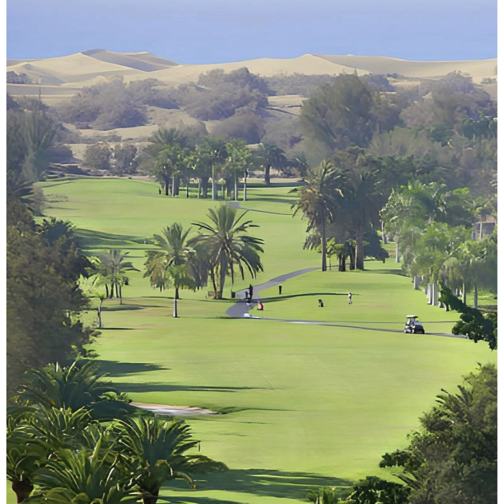 Udo R. Schmidt - Sänger, Musiker - Joe Steen - The Voice, Joe & Friends ...