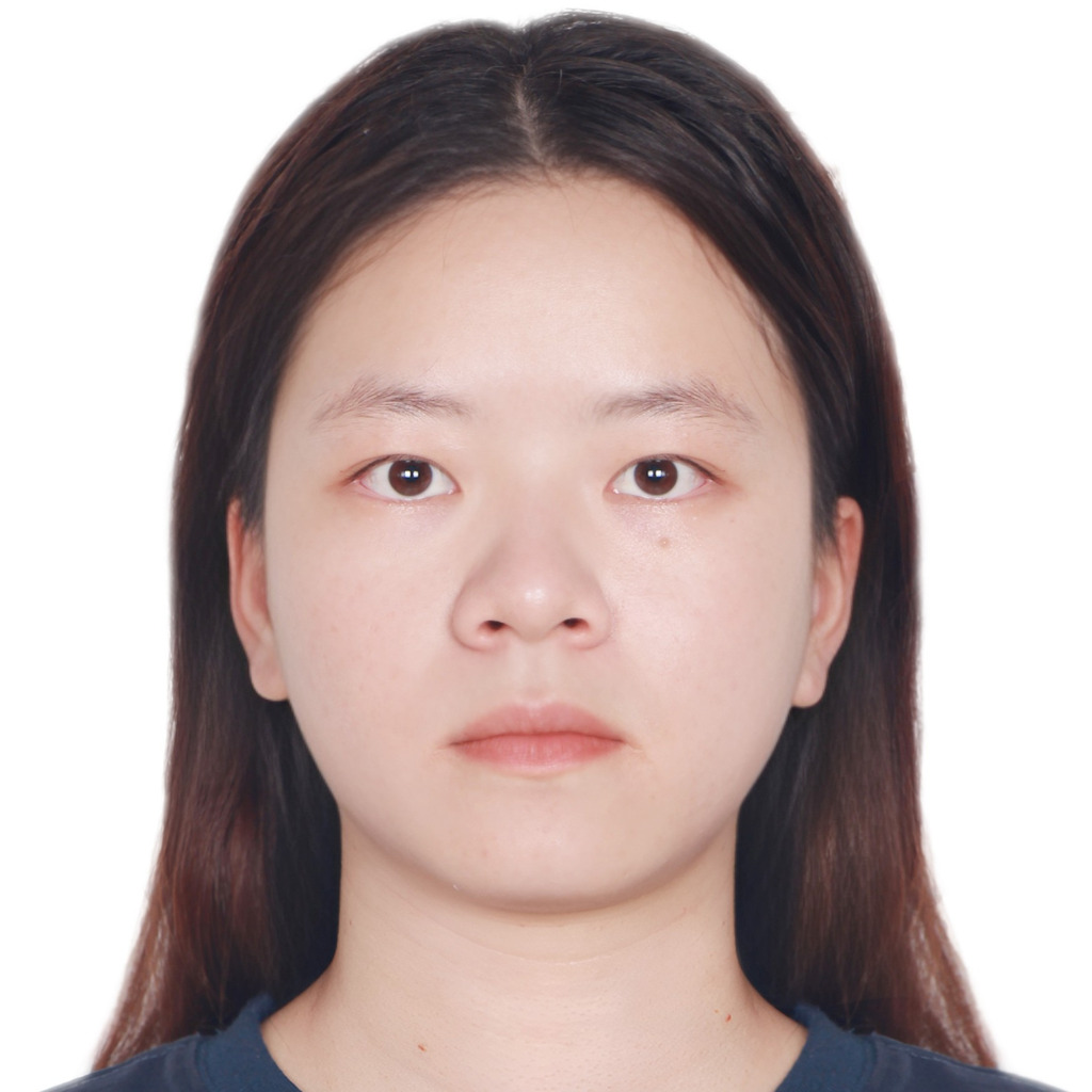 Hongyan XU - Software Developer - Jingwei Hirain | XING