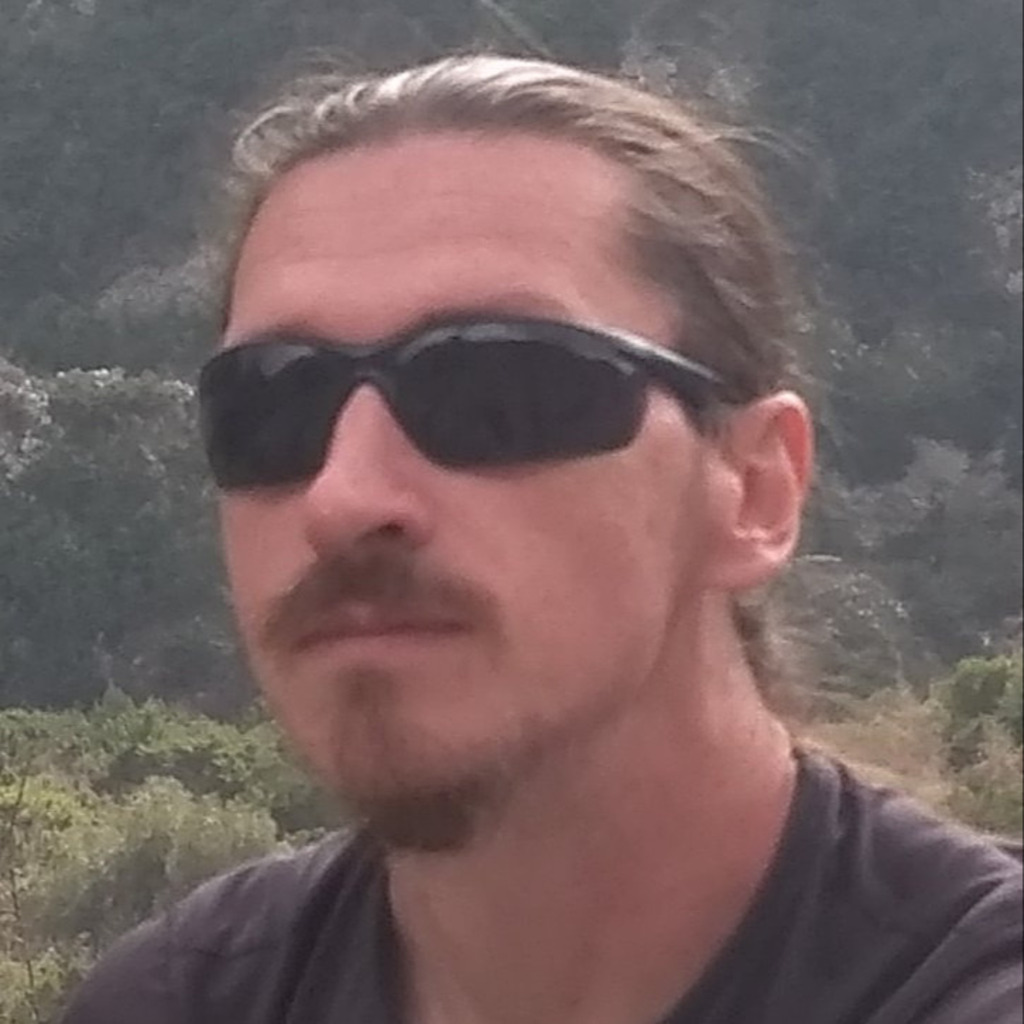 Dmitrii Pechnikov - Golang developer - Wildberries | XING