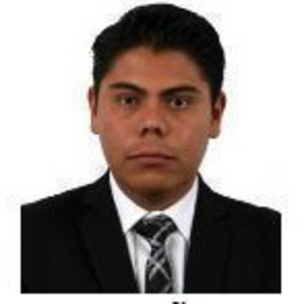 Miguel César Affif - Konstruktionsingenieur - Volkswagen de México | XING