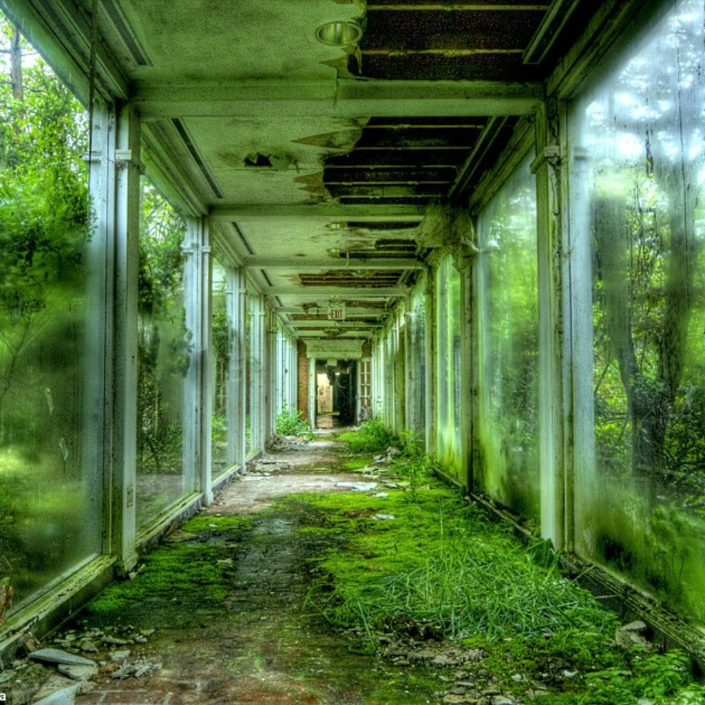 Eleni Dima - Senior Sales Executive - FIS Global | XING