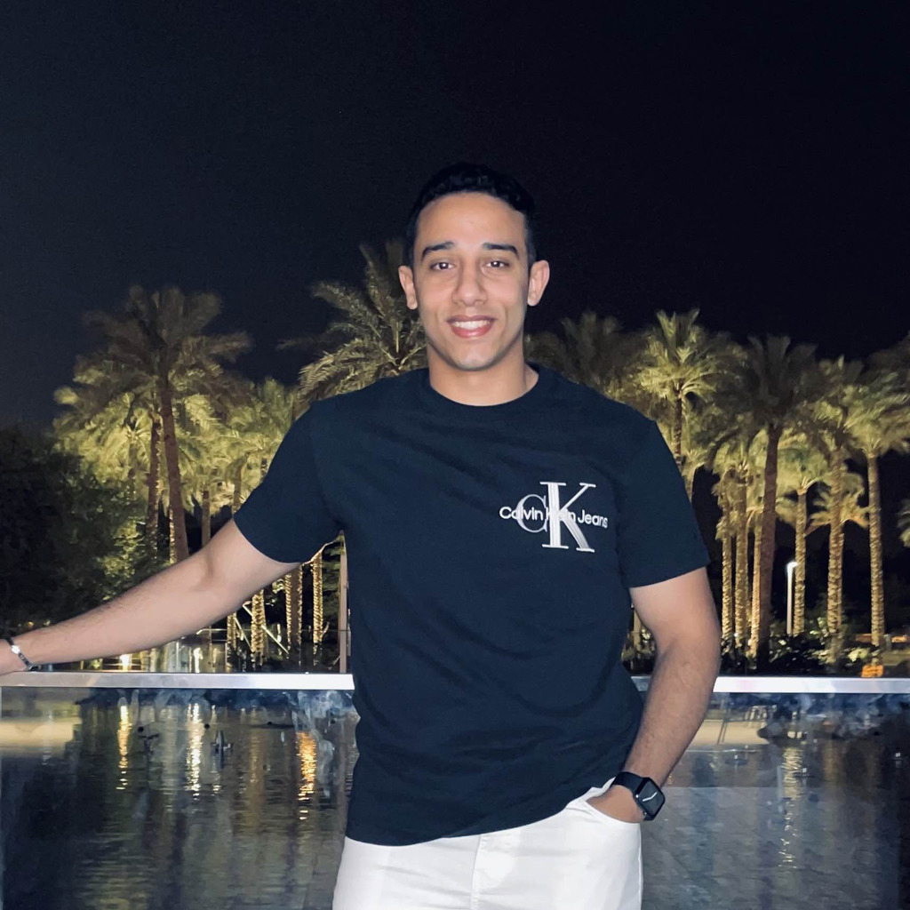 Mohamed Hossam - Accountant - DSV - Global Transport and Logistics | XING