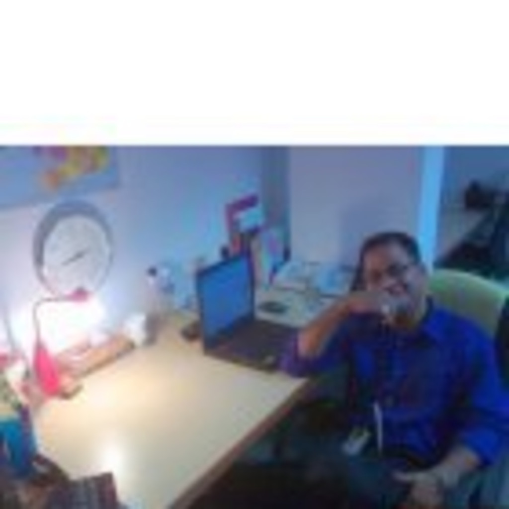 Pulakesh Barma - BDM & Associate Manager (Professional Services) - Adea Solutions | XING