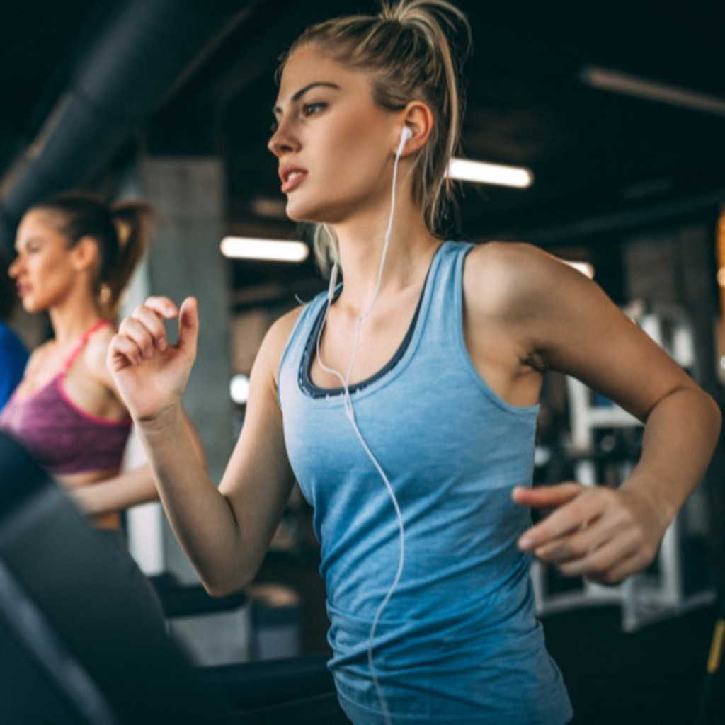 Safeer Ahmad - Editor - Fitness Gears Hub | XING