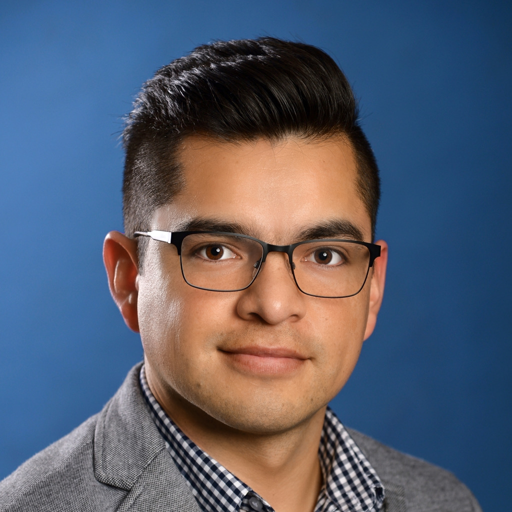 Ing. Carlos Corona - BMW domain architect - Hays Professional Solutions ...