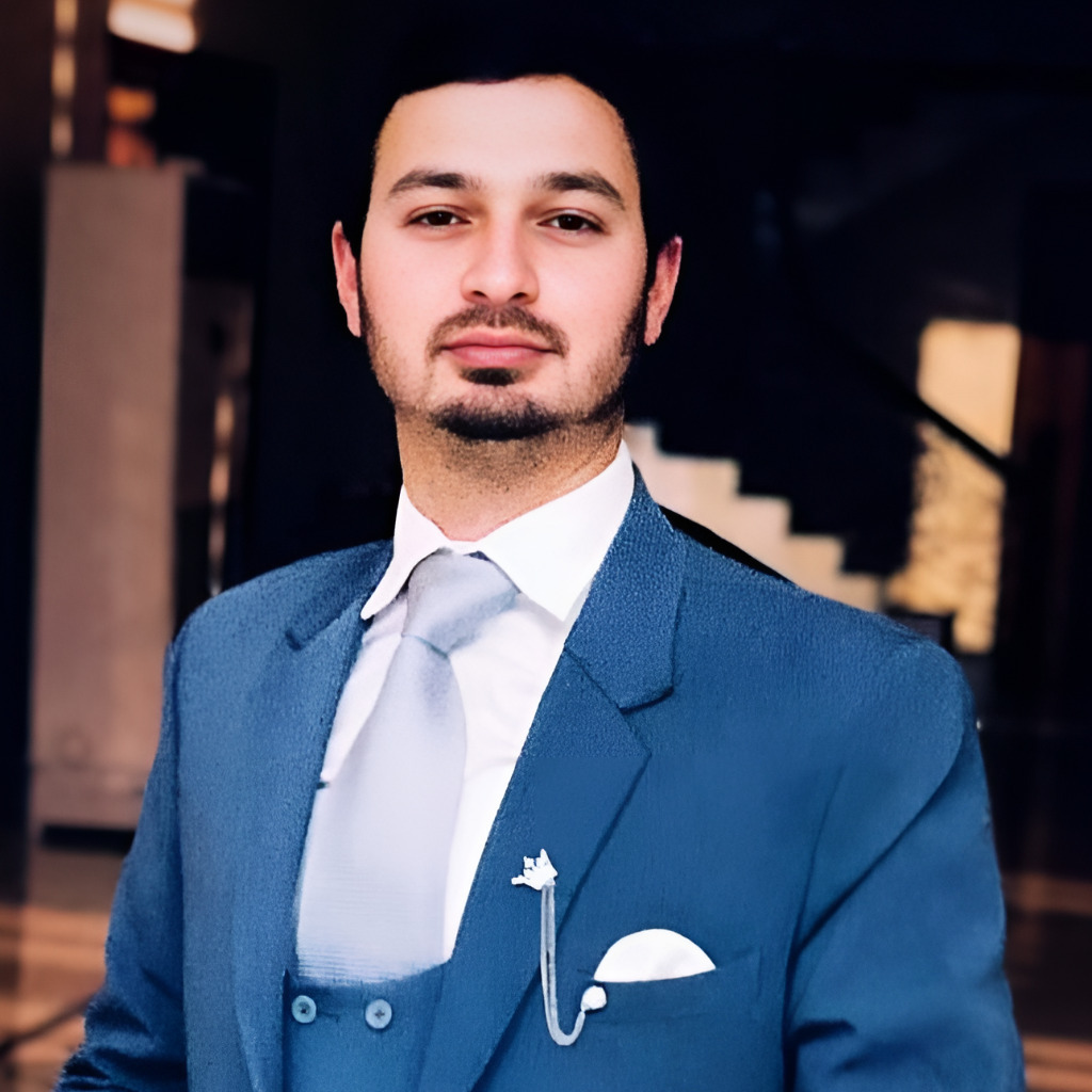 Hammad Niaz - Commercial Excellence Intern - Merck Electronics | XING