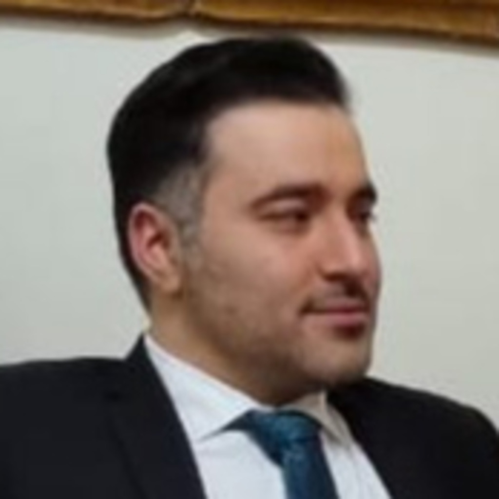 Ali Mollaali - Java Developer - Tosan | XING
