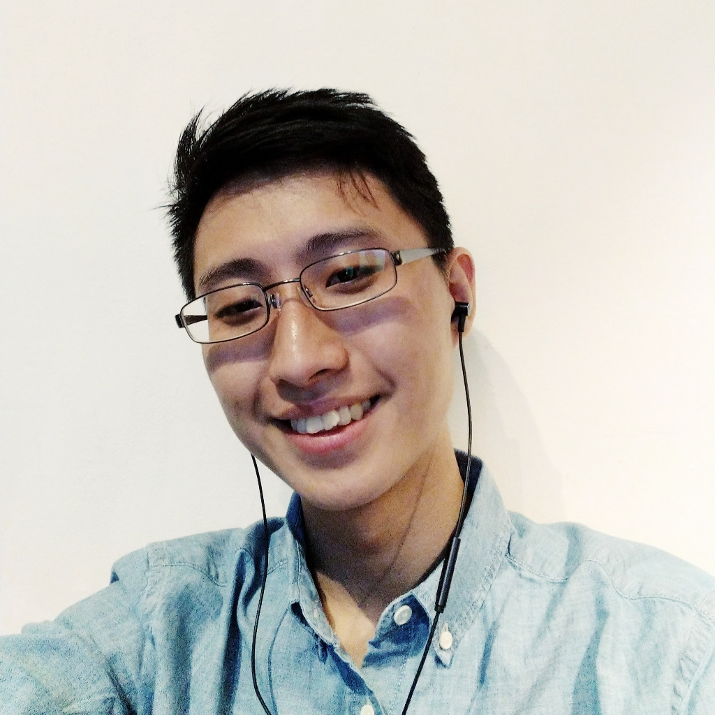 Di Fei Wang - Student Consultant - Capgemini | XING