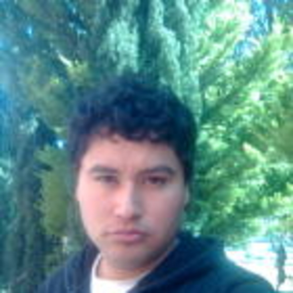 victor manuel peña corona - Estudiante - bobis corp. | XING