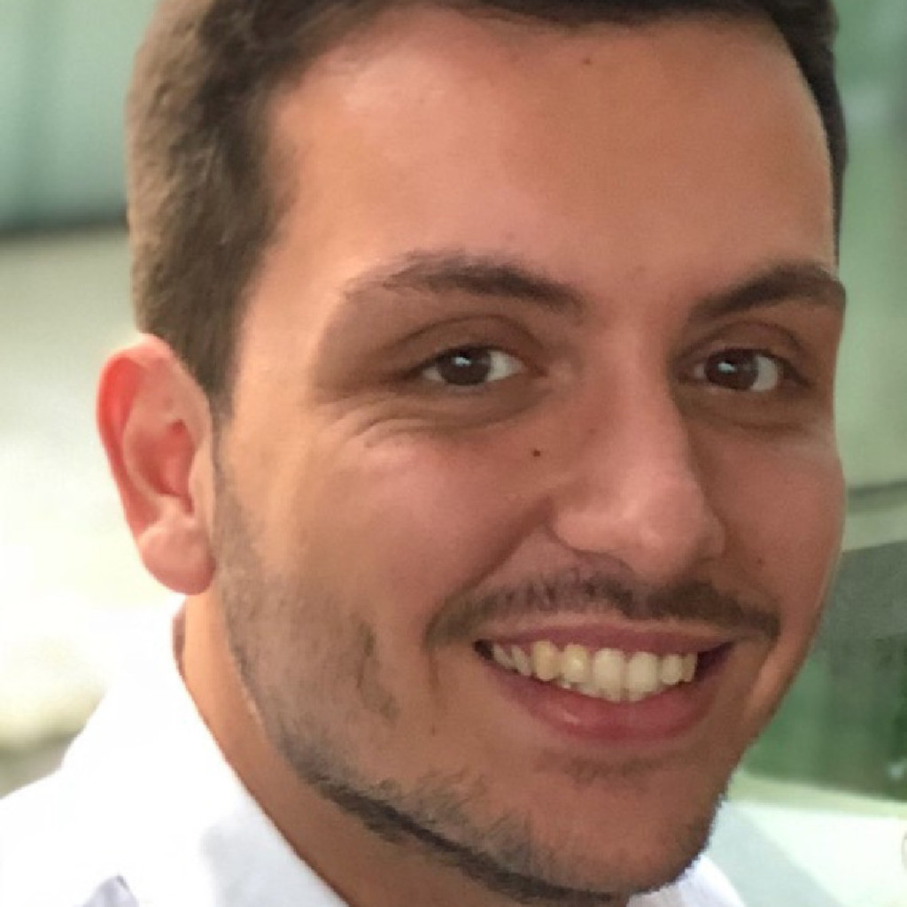 Leon Mitev - Web Developer - DistantPoint | XING