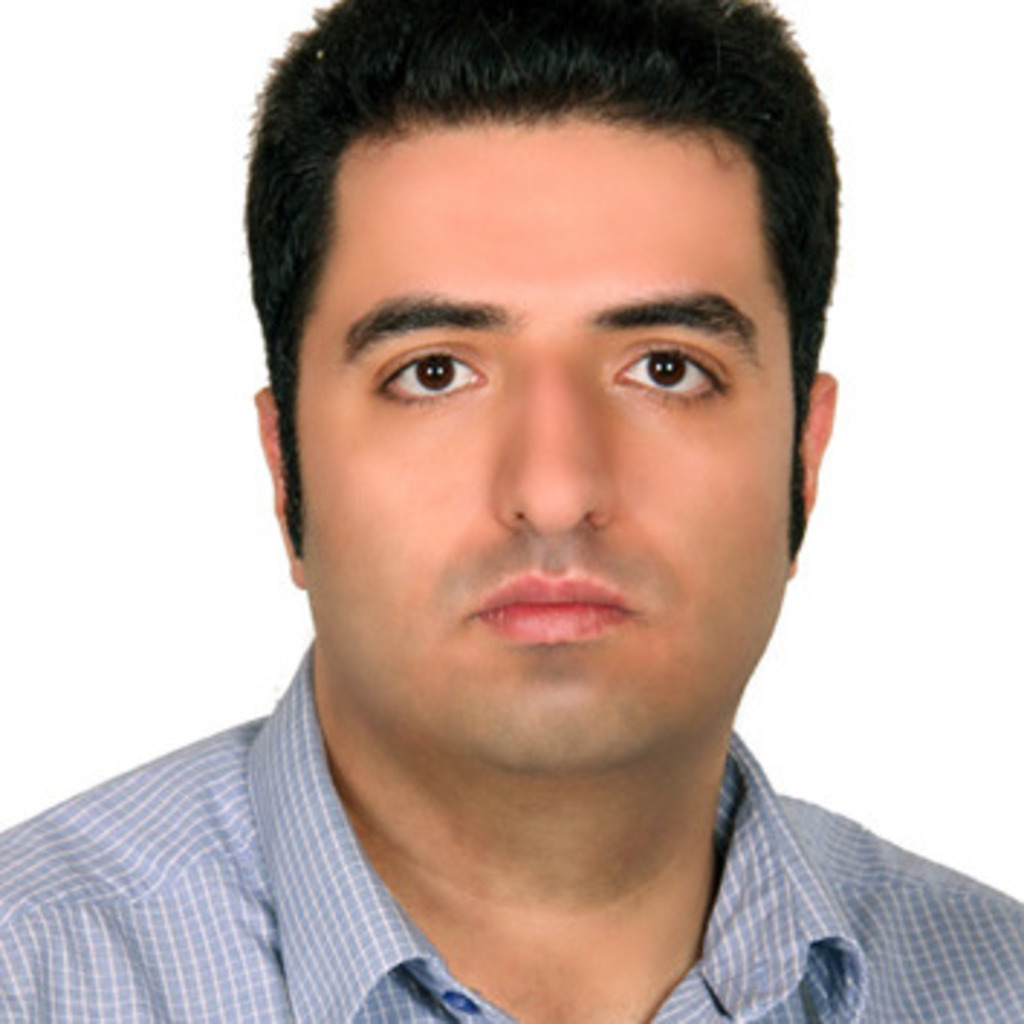 Hossein Karimi - Team Leader - pergasTeb | XING