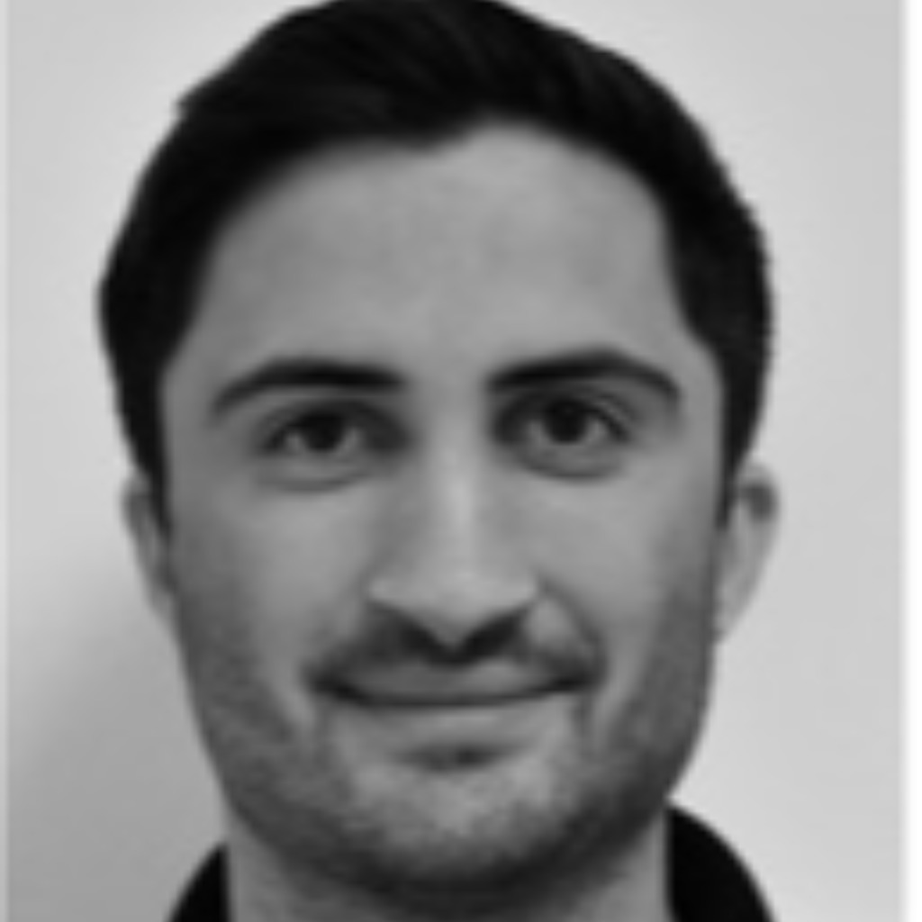 Armin Feldmann - Technologieentwicklung Hochvoltspeicher - BMW Group | XING