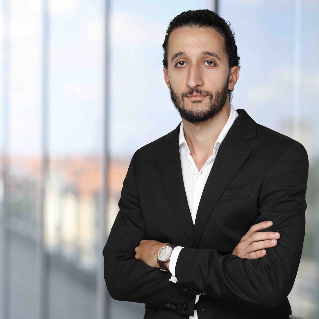 Mohamed Hany - Project Controller - THOST Projektmanagement GmbH | XING
