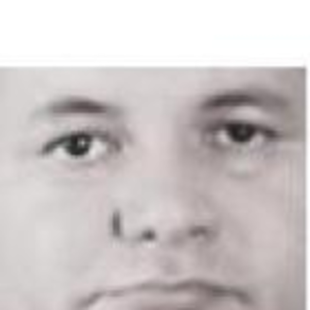 José Alexis Colmenares - Presidente - Computadoras lmport | XING